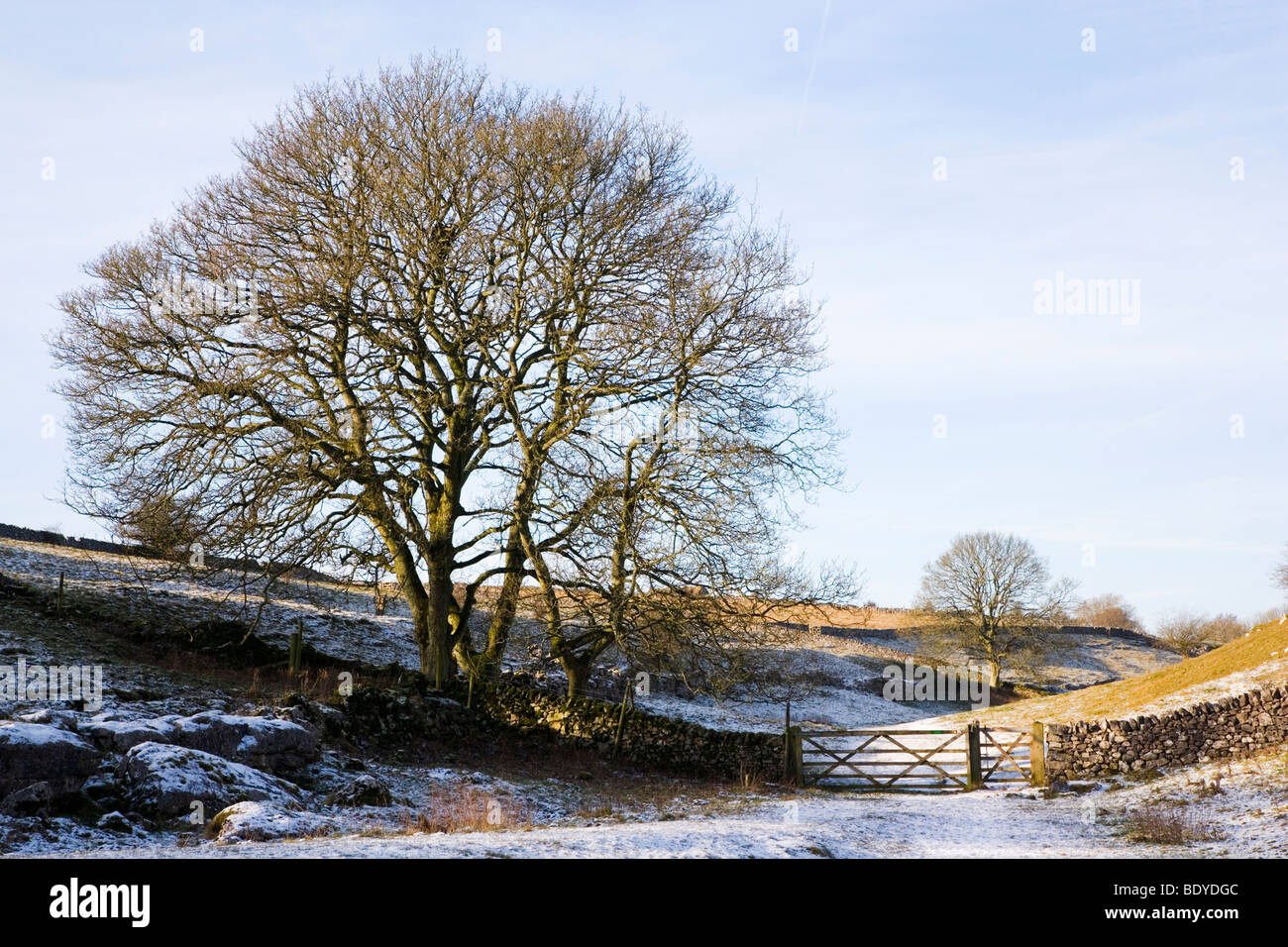 Ricklow dale hi-res stock photography and images - Alamy