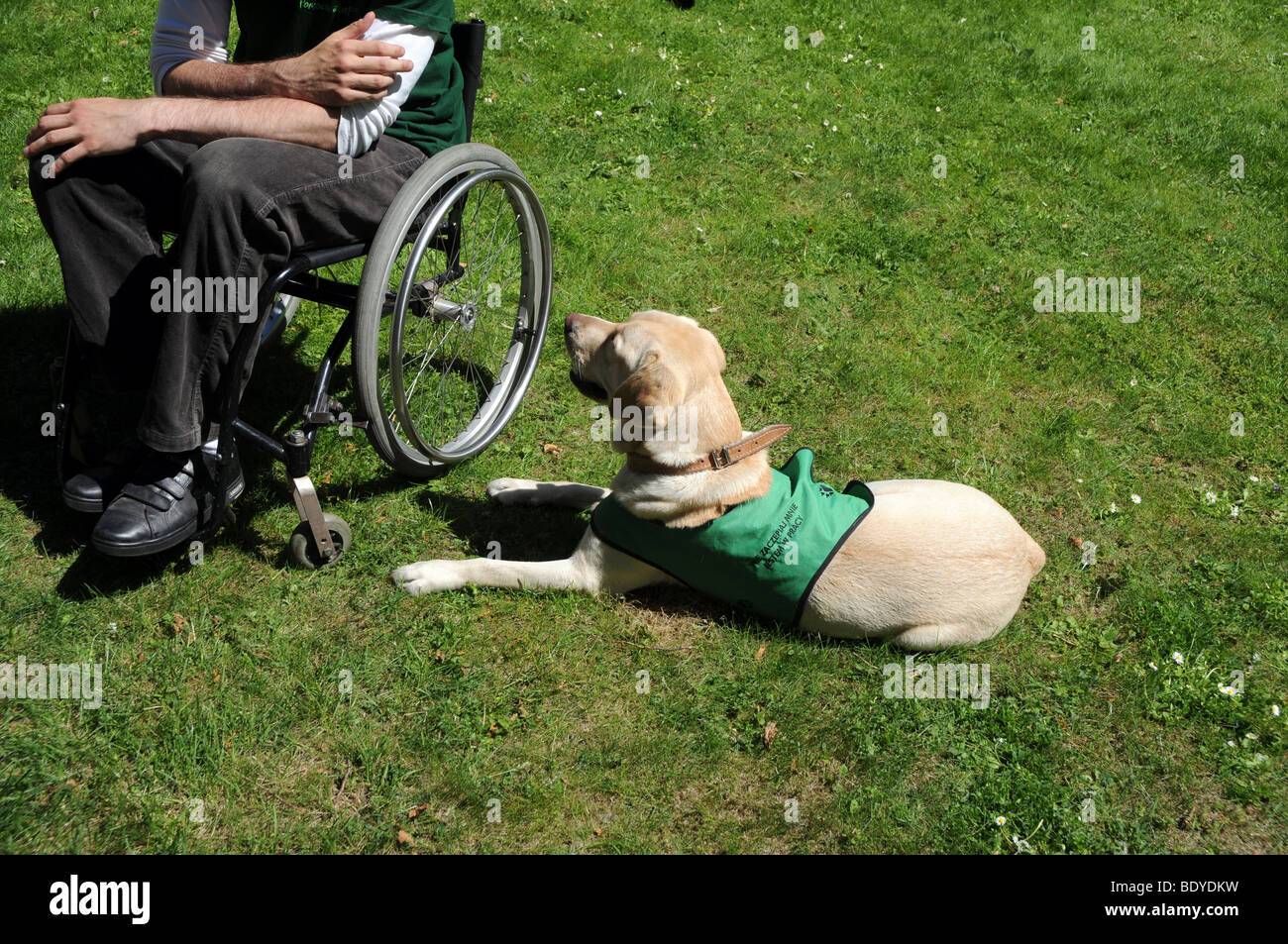 Crouch dog hi-res stock photography and images - Alamy