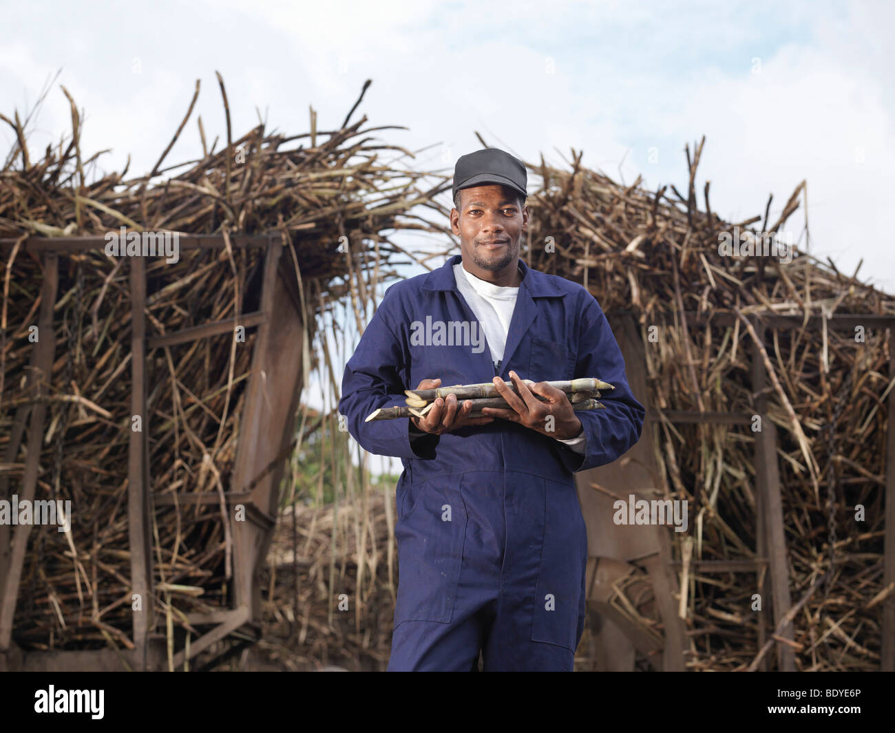 Bundle sugar cane hi-res stock photography and images - Alamy
