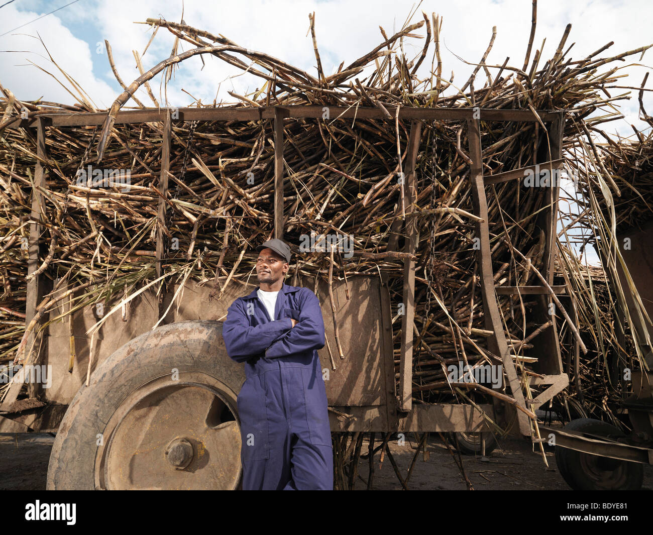 Bundle sugar cane hi-res stock photography and images - Alamy