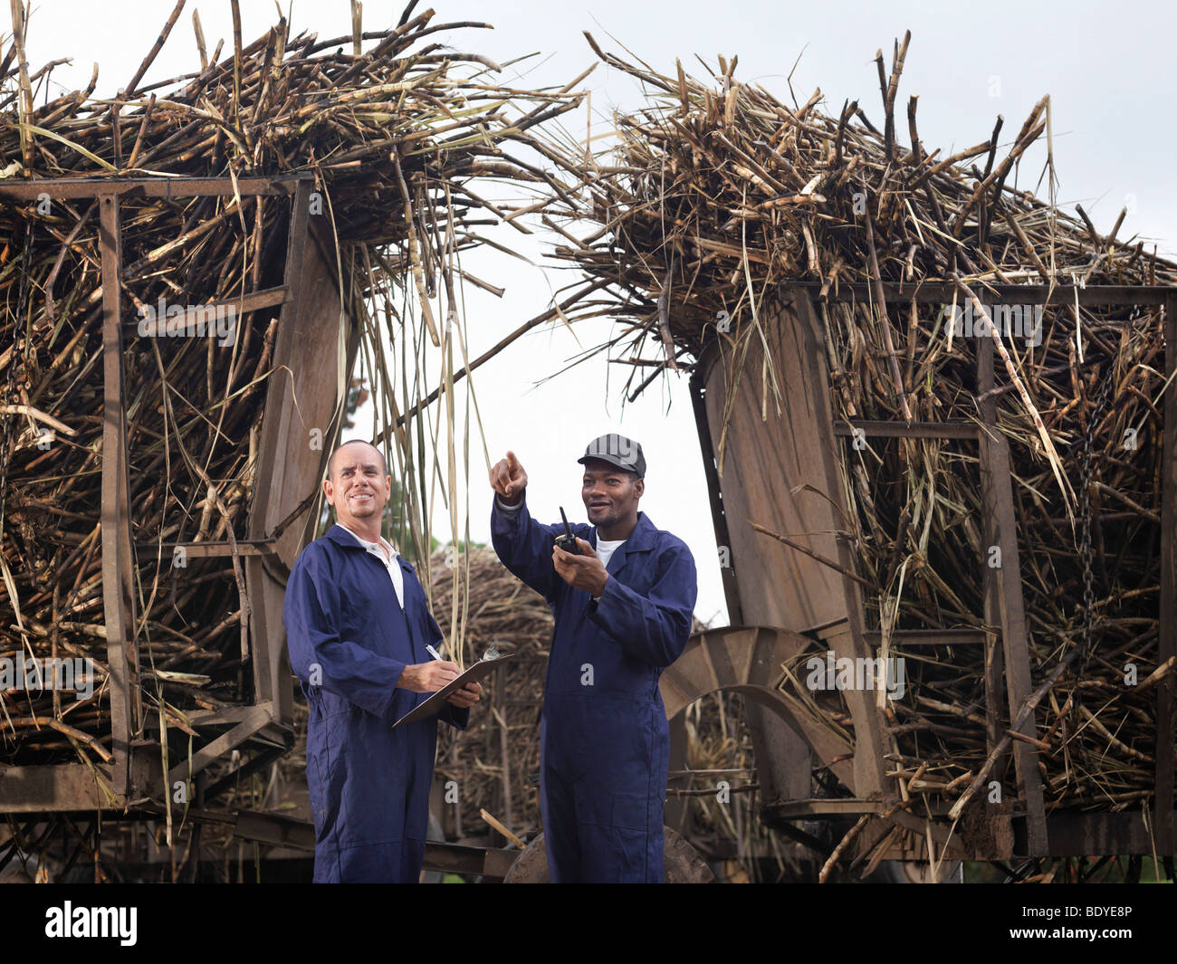 Sugar Cane Workers High Resolution Stock Photography and Images - Alamy