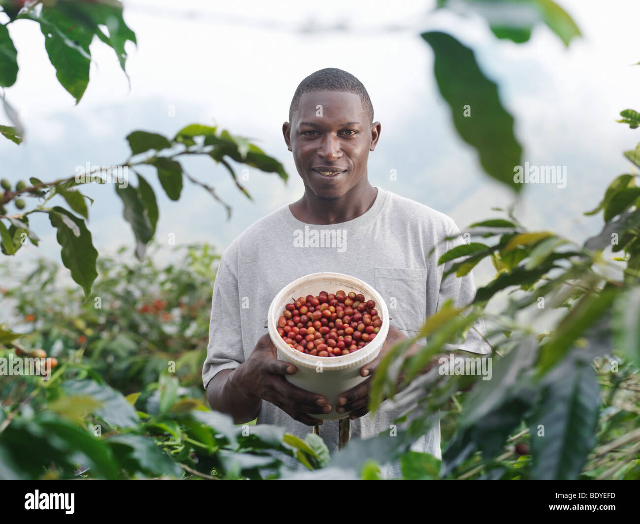 Tub of beans hi-res stock photography and images - Alamy