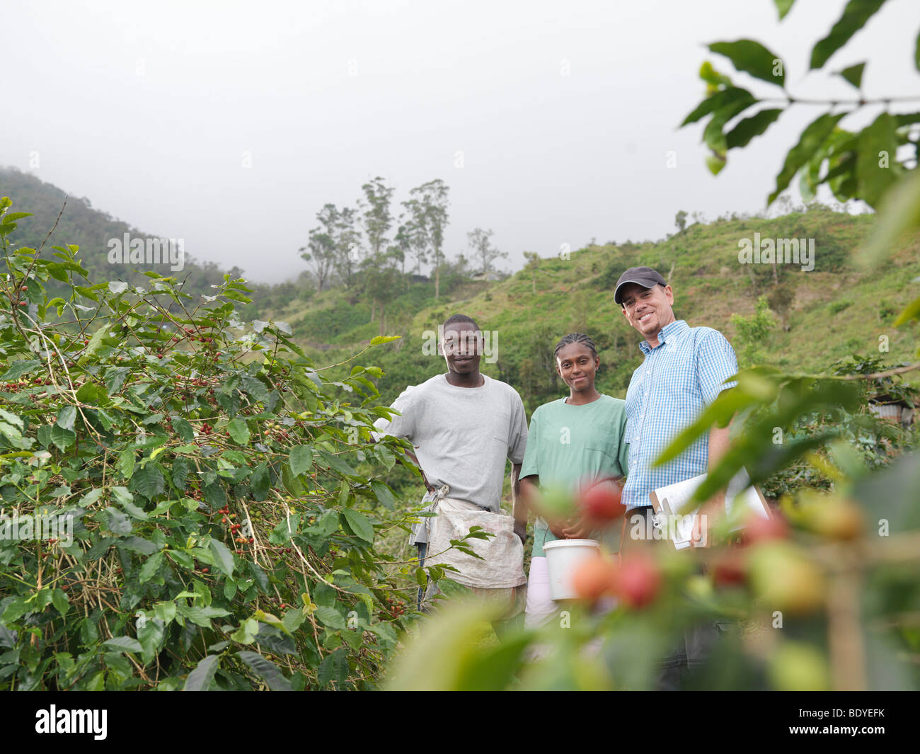 Workers coffee plantation hi-res stock photography and images - Alamy