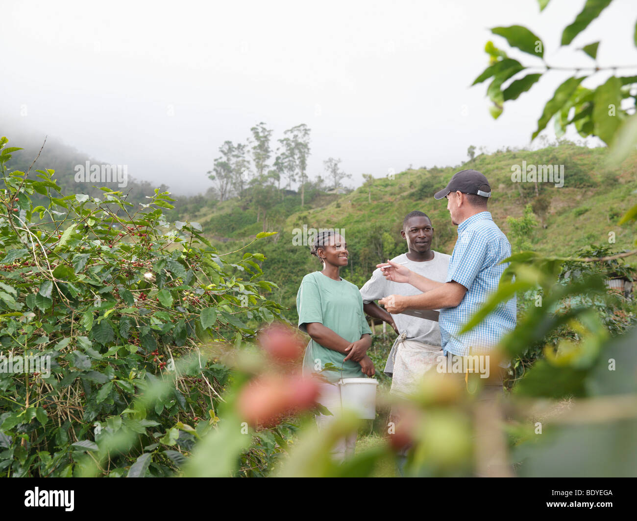 Agriculture workers talking hi-res stock photography and images - Alamy