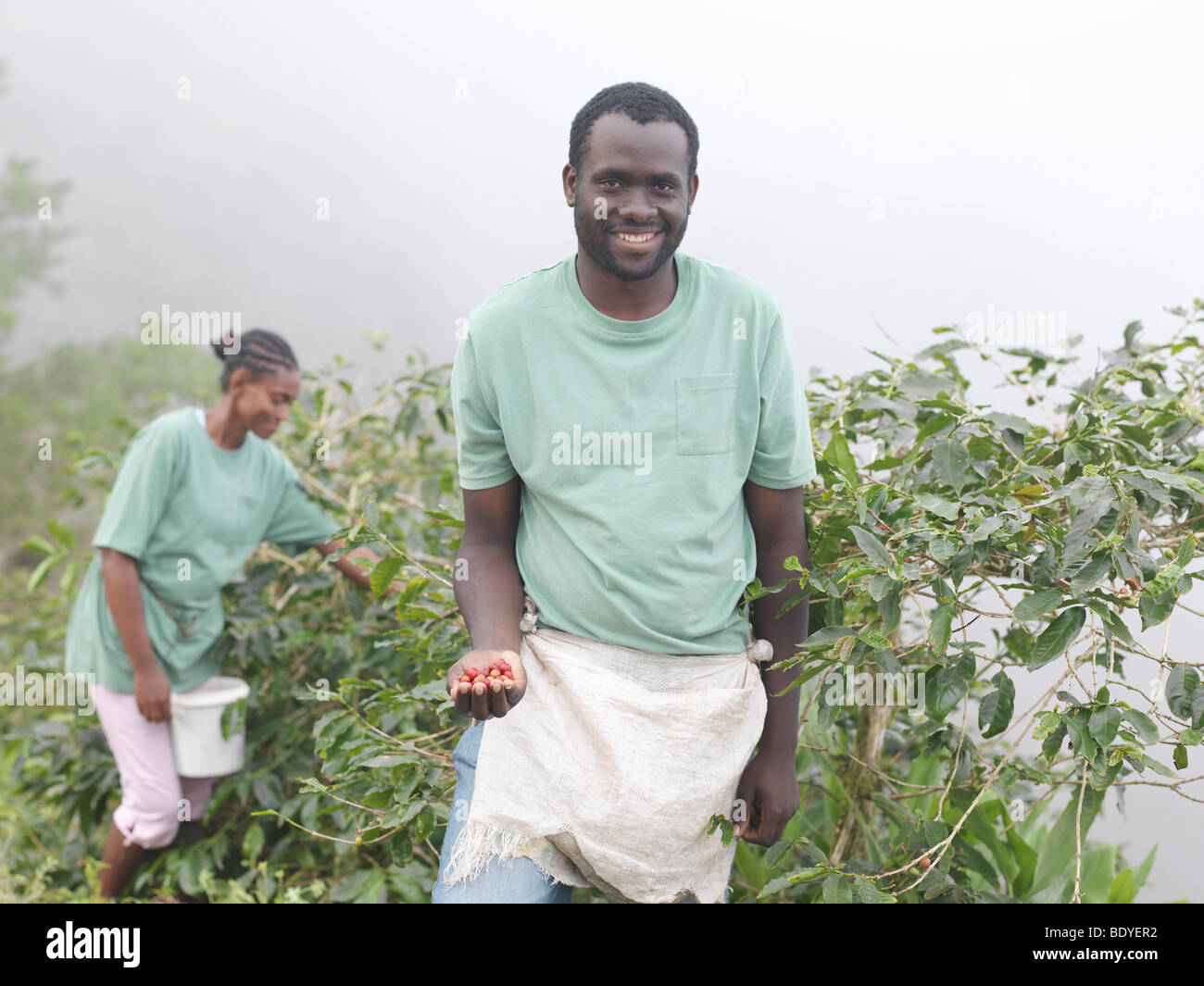 Rural Beans High Resolution Stock Photography and Images - Alamy