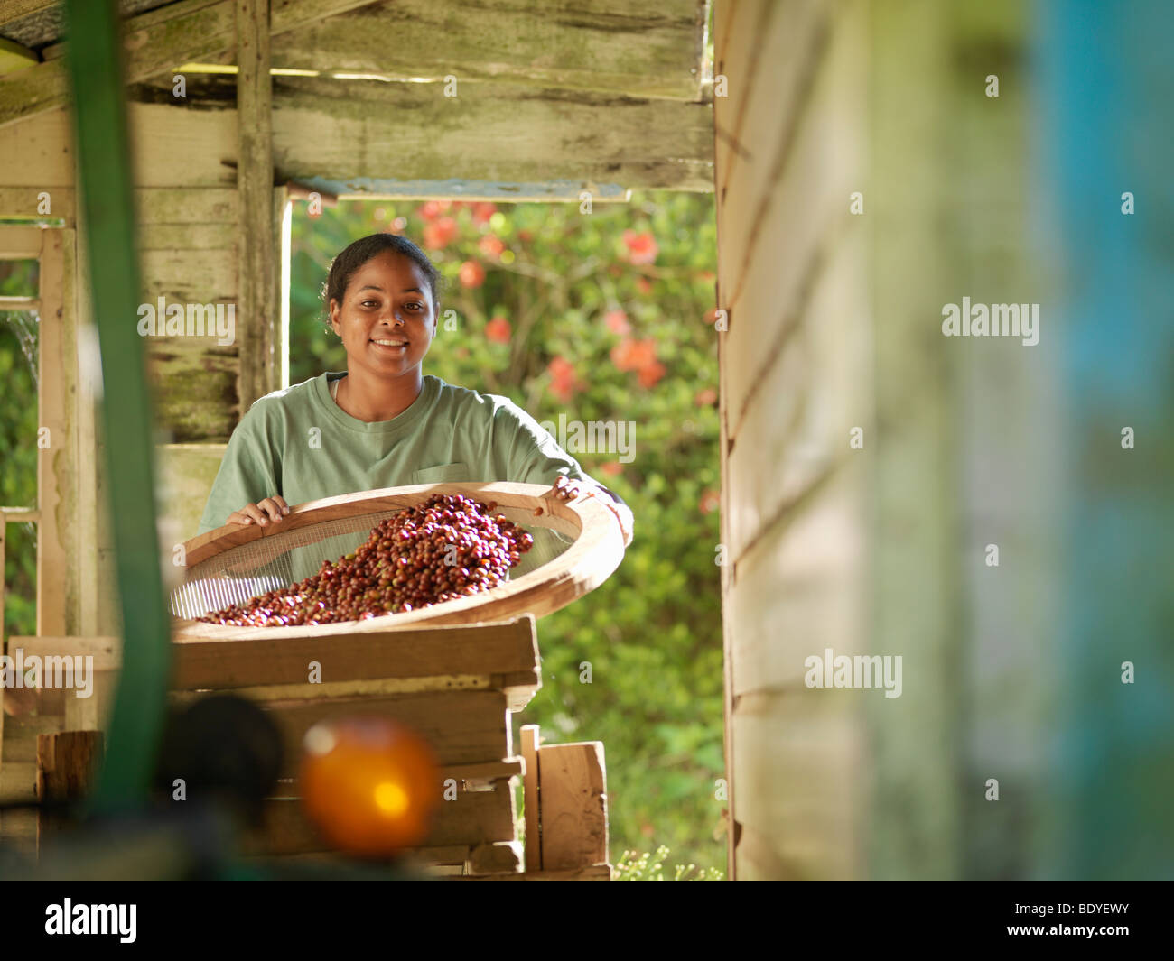 African food processing hi-res stock photography and images - Alamy