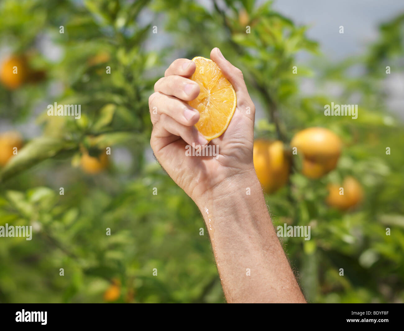 Hand squeezing food hi-res stock photography and images - Alamy
