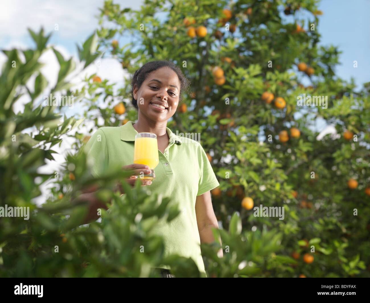 Drinking Orange Juice Tree High Resolution Stock Photography and Images ...