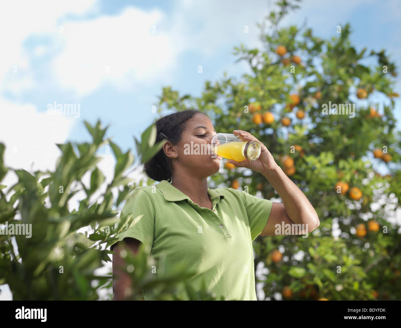 Drinking orange juice tree hi-res stock photography and images - Alamy