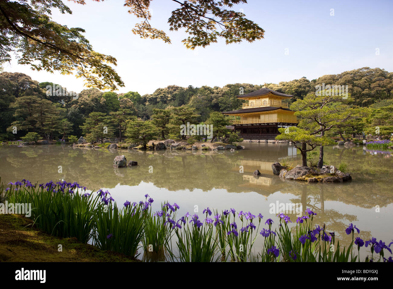 Golden pavilion kinkaku ji hi-res stock photography and images - Alamy