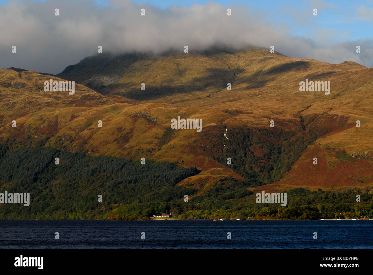 Autumn at Loch Lomond, Tarbet, Scotland, UK, Europe Stock Photo - Alamy