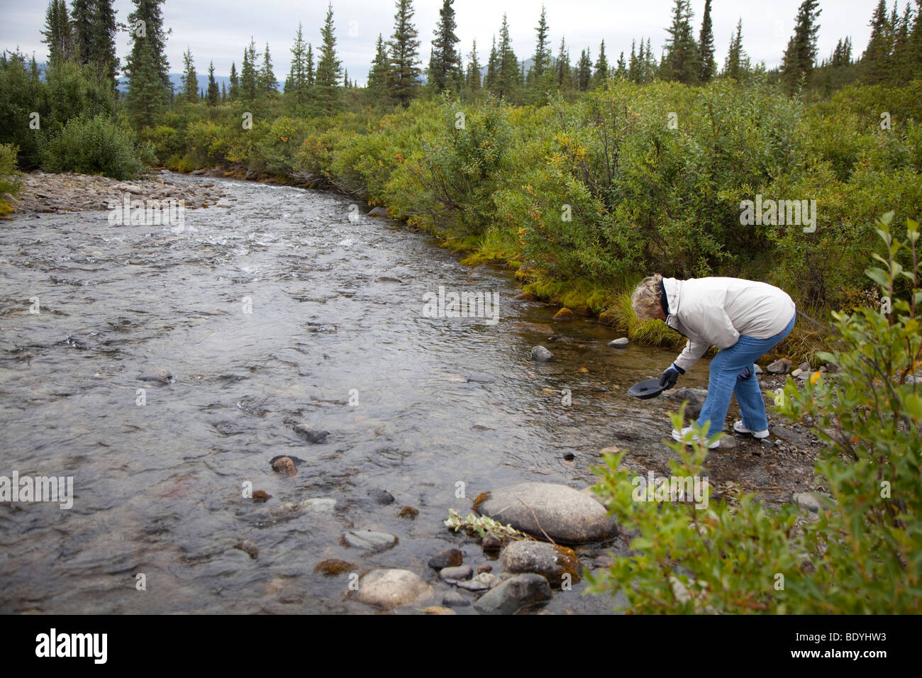 Alaska gold panning hi-res stock photography and images - Alamy