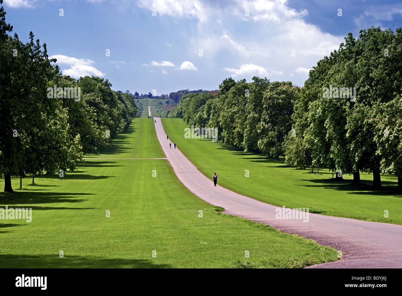 The Long Walk at Windsor Great Park Stock Photo - Alamy