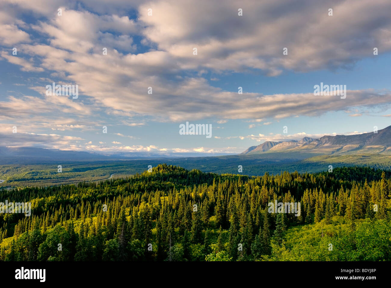 View from Kesugi Ridge, Denali State Park Alaska Stock Photo - Alamy