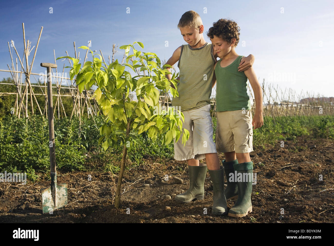 Tree planting hi-res stock photography and images - Alamy