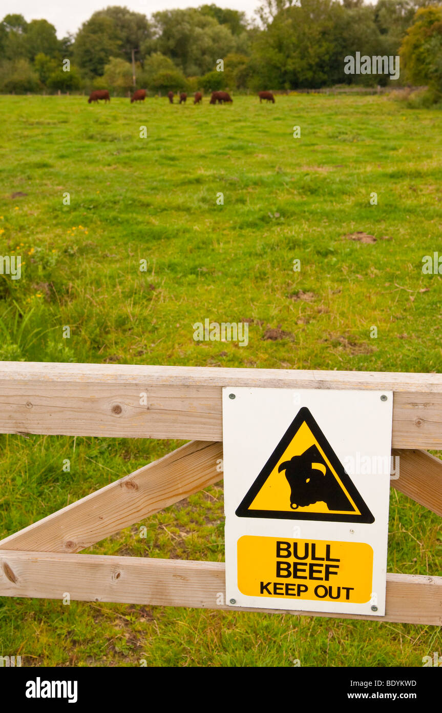 Bulls notice field cows signs hi-res stock photography and images - Alamy