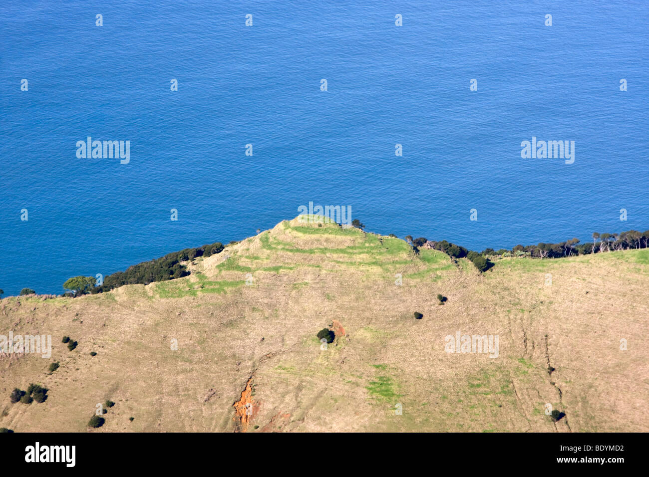 Maori pa hi-res stock photography and images - Alamy