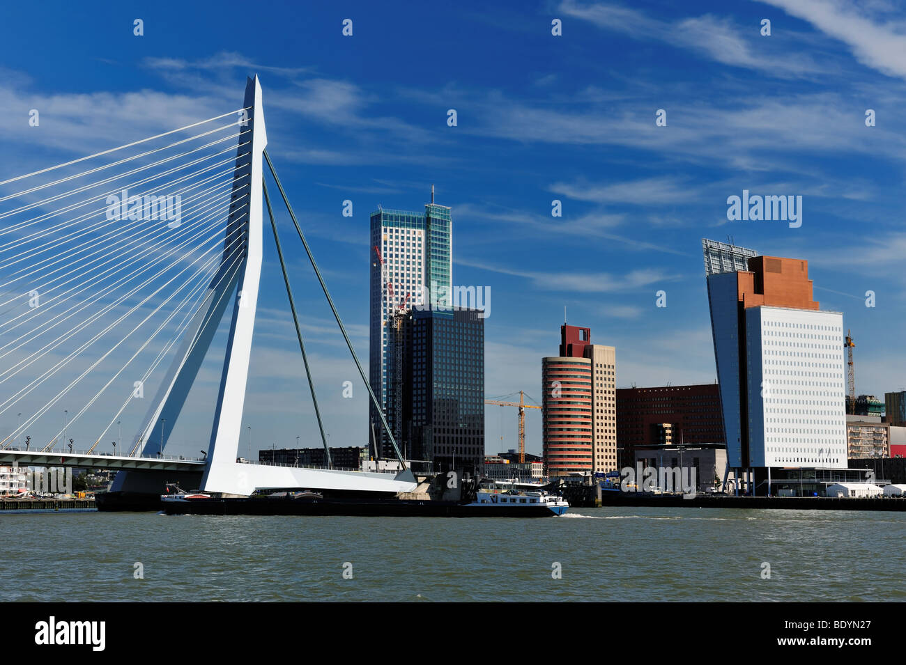 Erasmus bridge in Rotterdam the Netherlands, Europe Stock Photo - Alamy