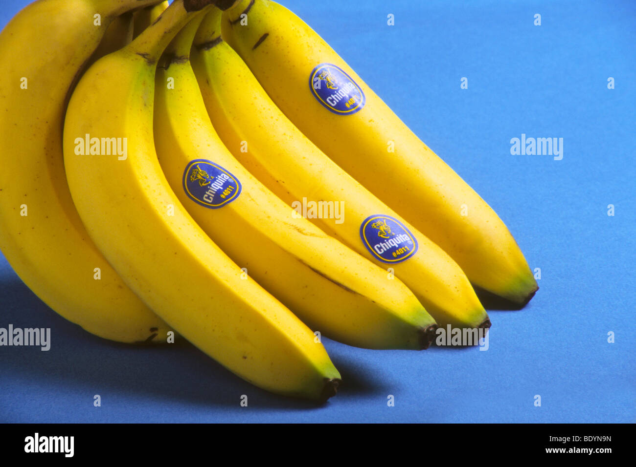 fresh food blue background Stock Photo - Alamy