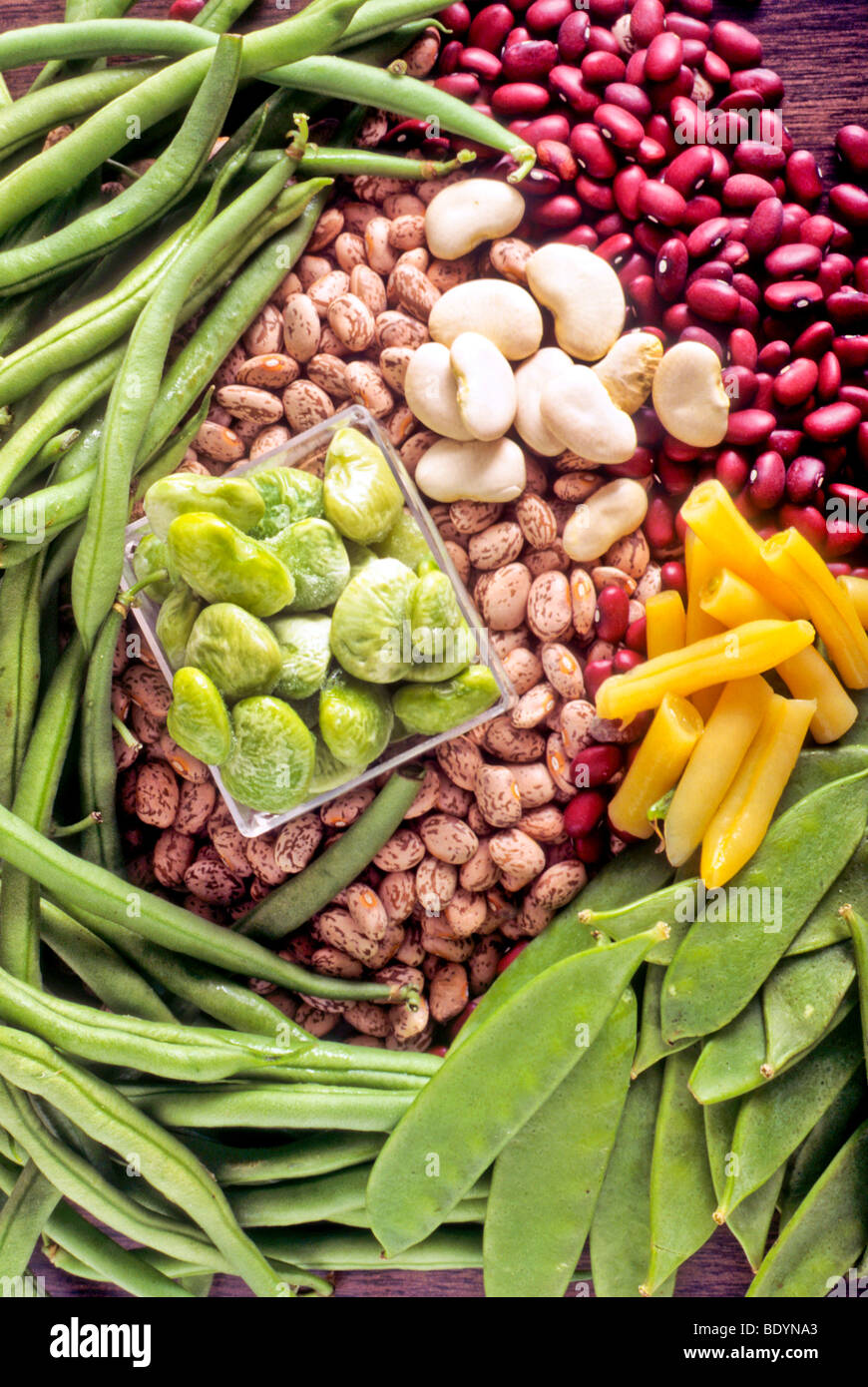 lima green kidney navy yellow wax snap chinese Stock Photo - Alamy