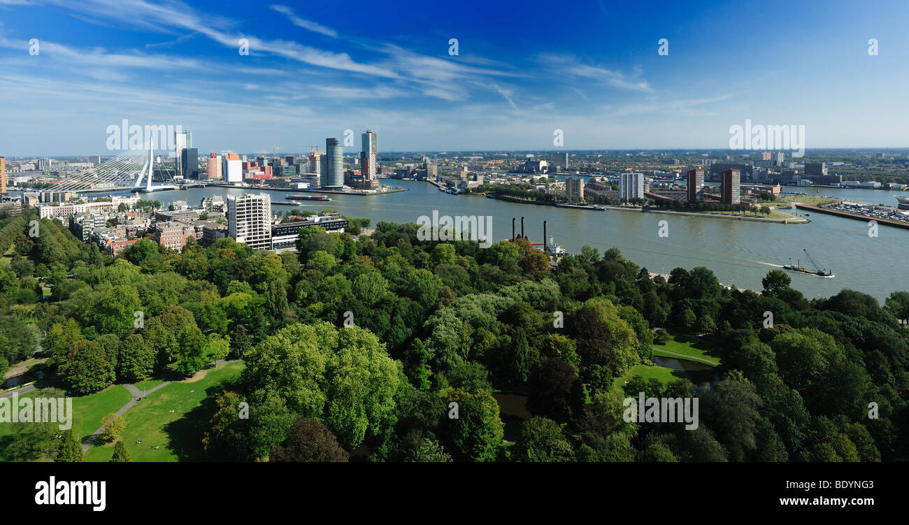 Downtown rotterdam holland hi-res stock photography and images - Alamy