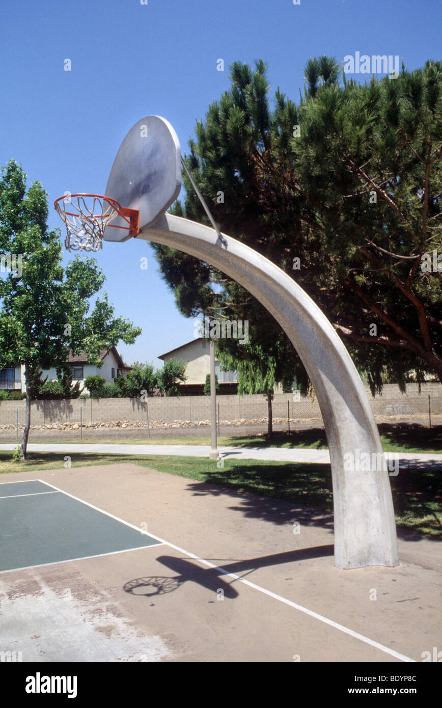 Pedal bone hi-res stock photography and images - Alamy