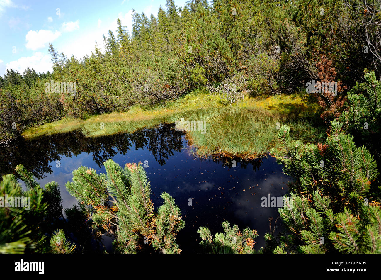 Peatery High Resolution Stock Photography and Images - Alamy