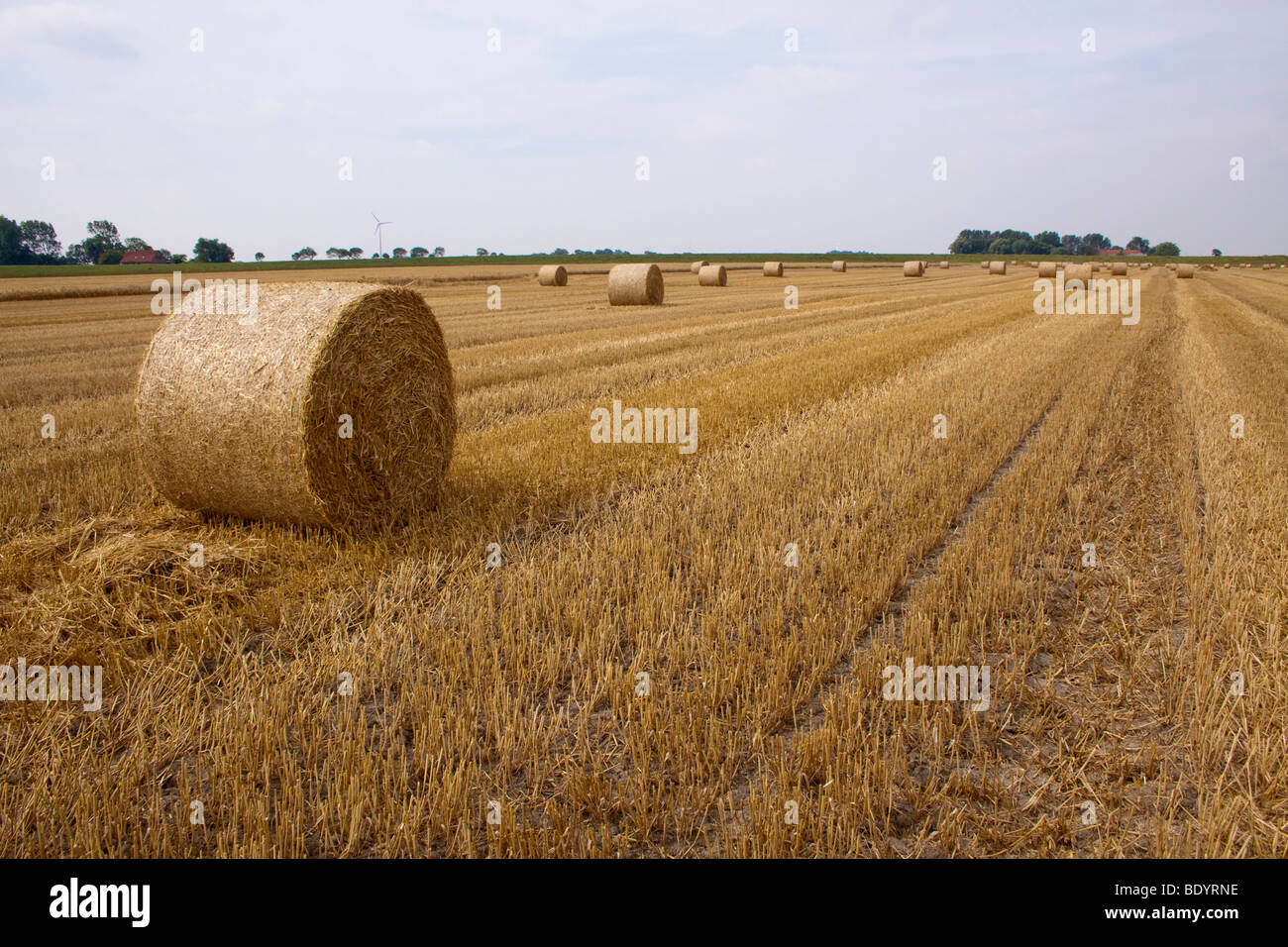 Hay stubble hi-res stock photography and images - Alamy