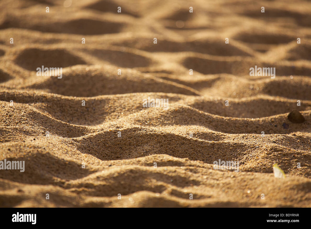 Beach sand background Stock Photo - Alamy