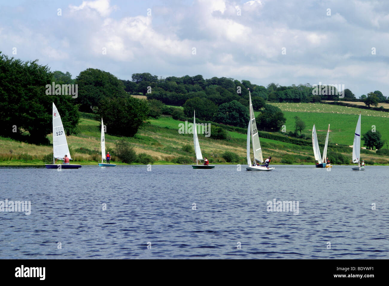 Sailing boats racing on Wimblelball Reservoir. Somerset. England Stock ...