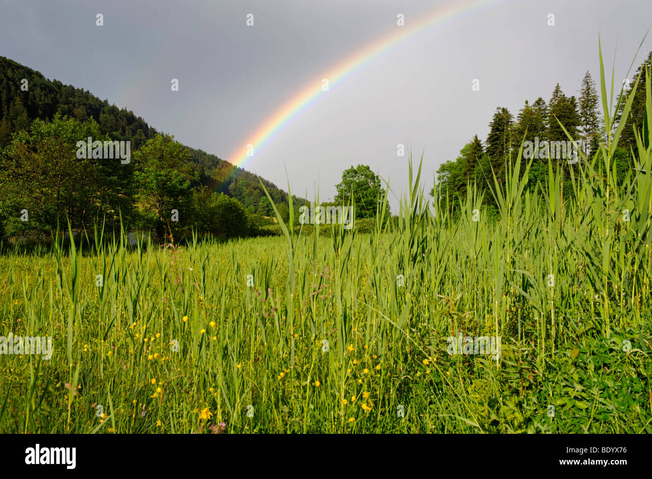 Rainbow, Toelz region, Upper Bavaria, Germany, Europe Stock Photo - Alamy