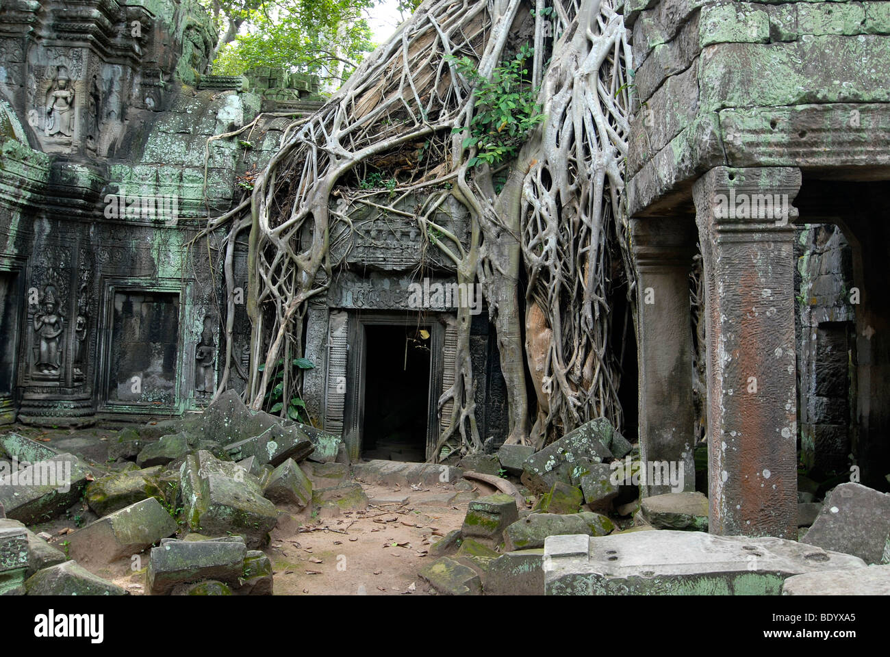 Old temple entrance in overgrown hi-res stock photography and images ...