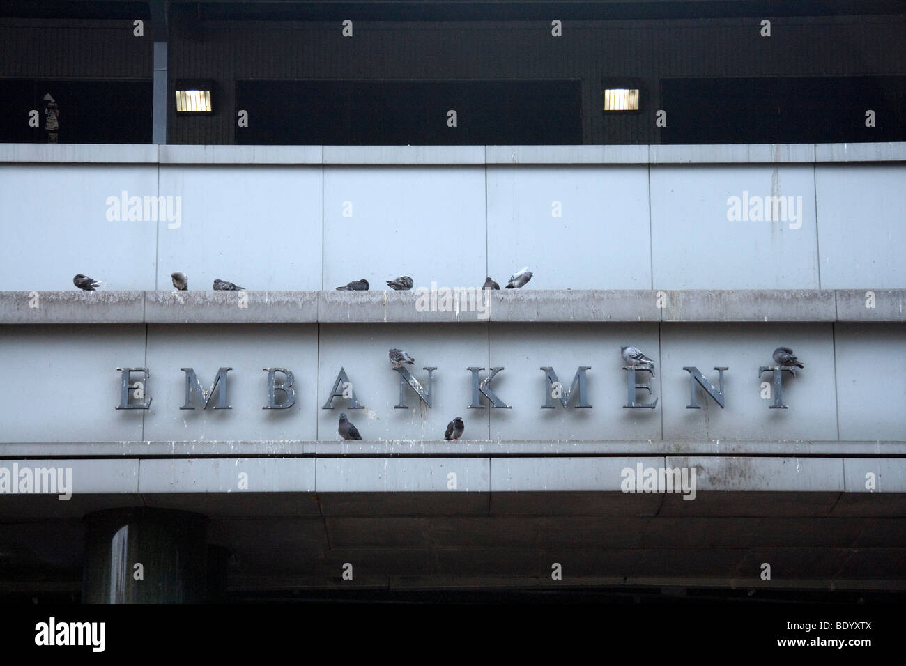 Pigeons roosting on the Embankment station sign Stock Photo - Alamy