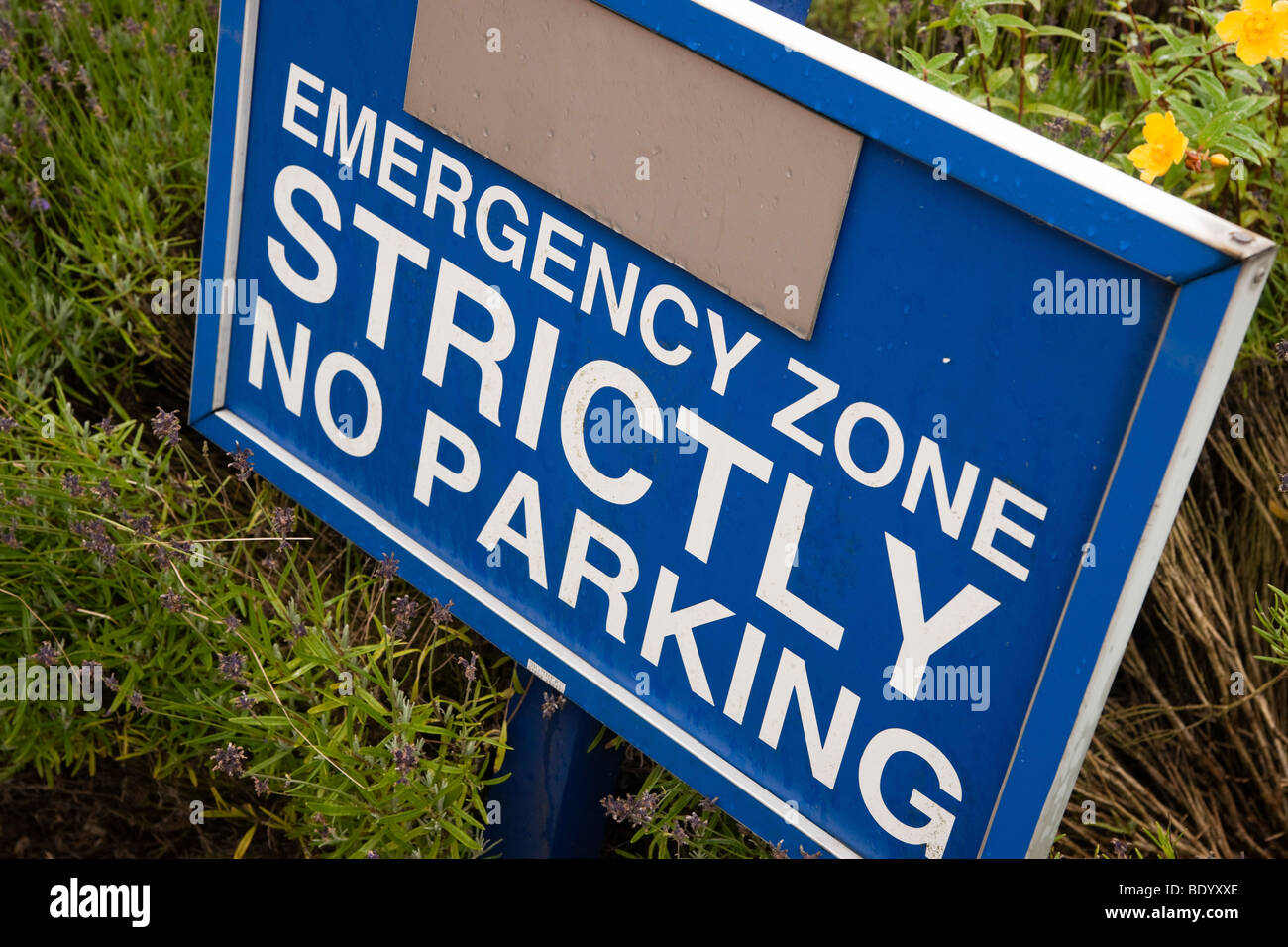 Emergency zone no parking sign Stock Photo - Alamy