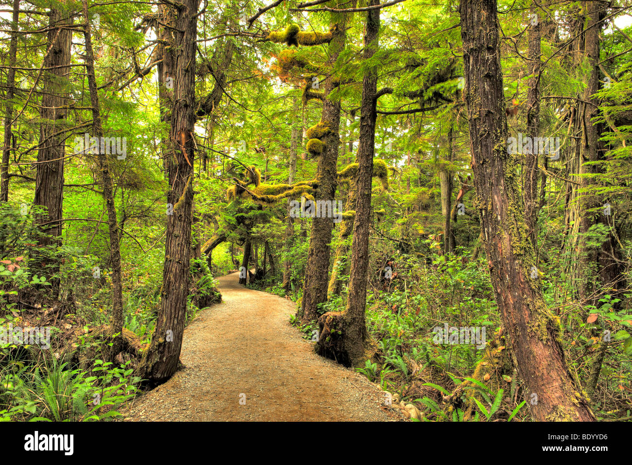 Wild Pacific Trail, Ucluelet, British Columbia, Canada Stock Photo - Alamy