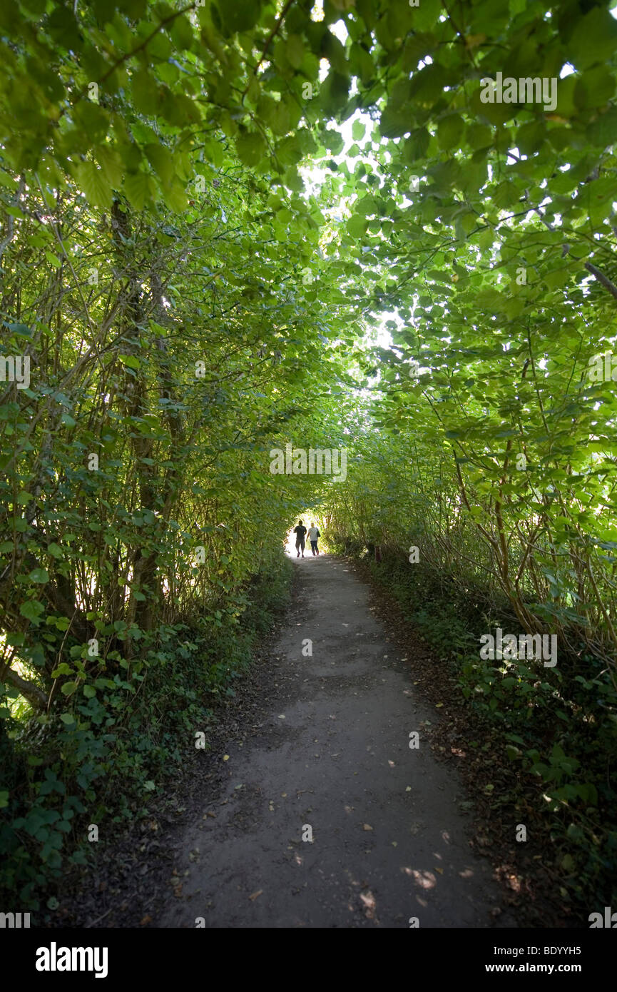 Museum of Welsh Life, St Fagans, Cardiff, Wales, UK Stock Photo - Alamy