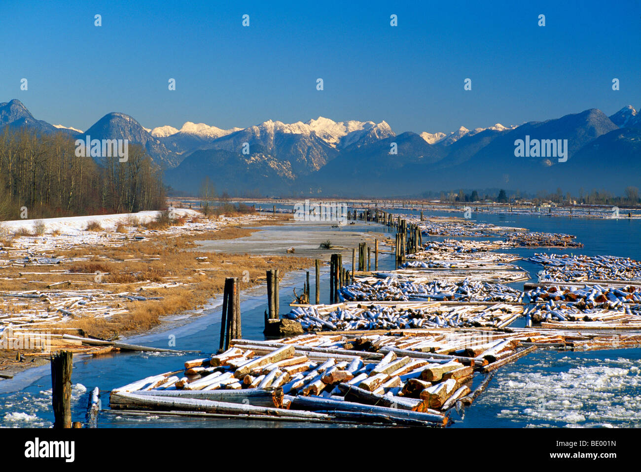 Pitt River, Fraser Valley, BC, British Columbia, Canada - "Coast ...