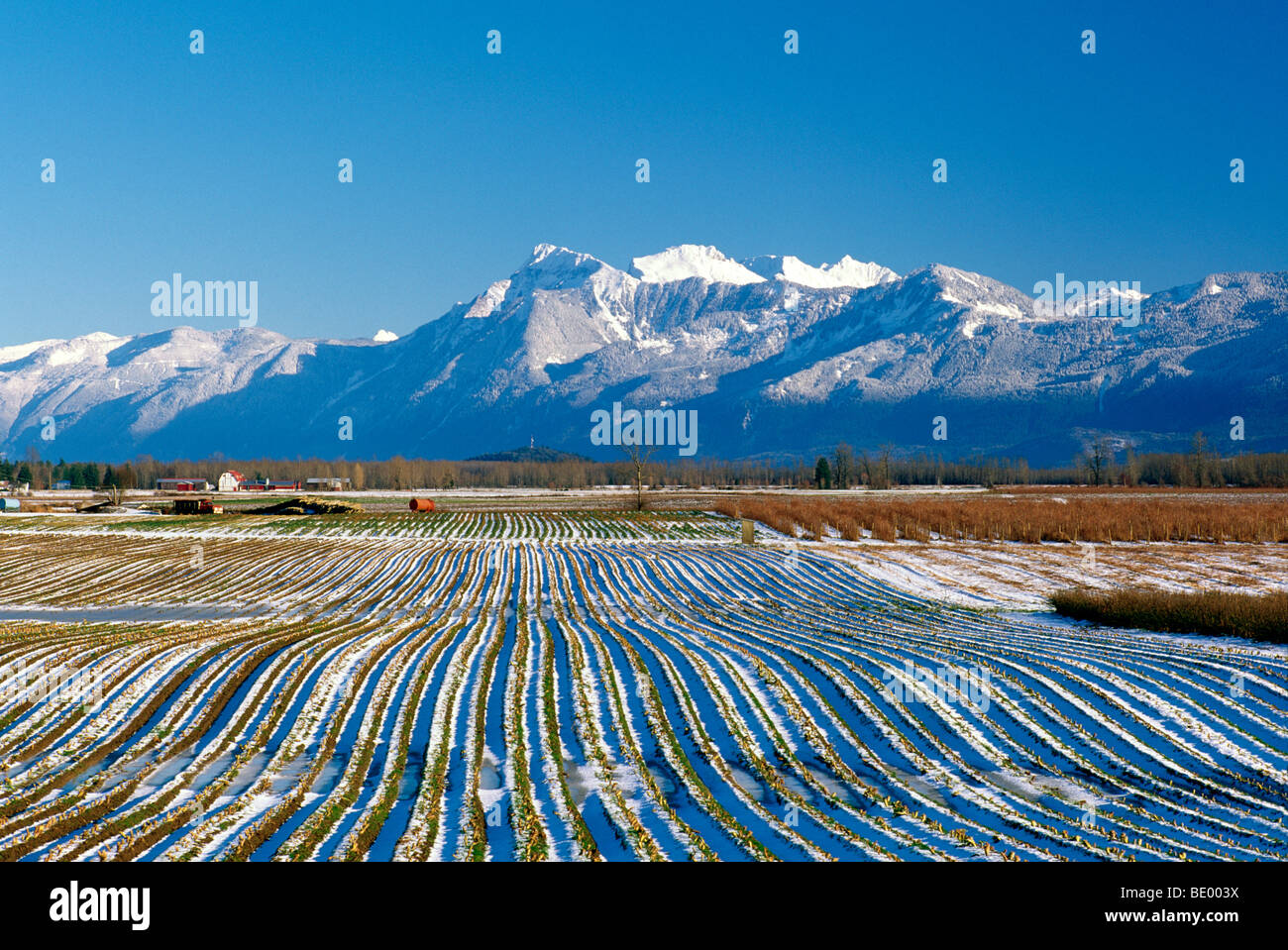 Of north cheam hi-res stock photography and images - Alamy