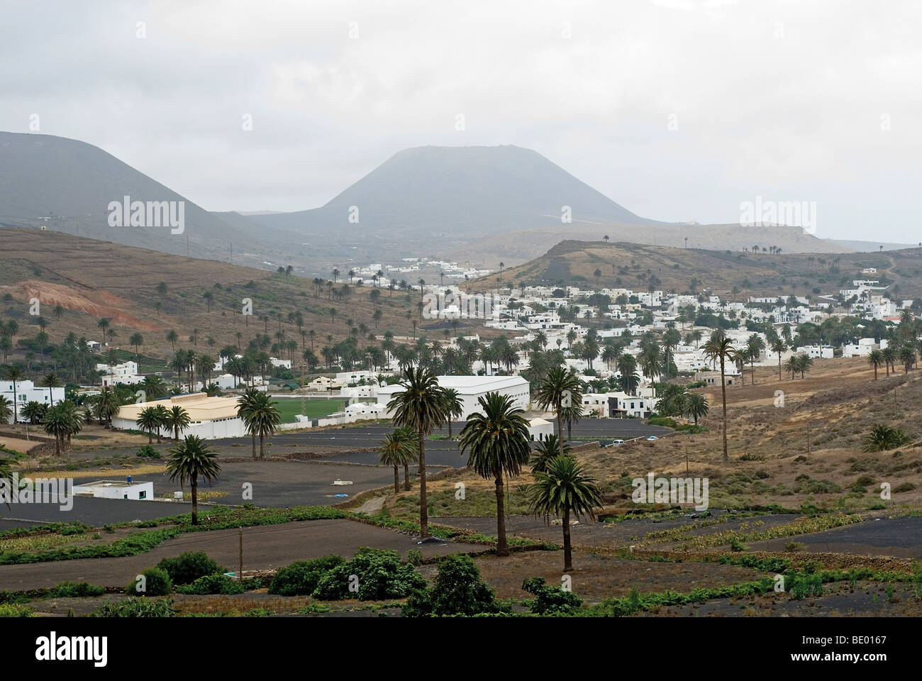 Haria, Valley of 1000 Palms, Lanzarote, Canary Islands, Spain, Europe ...