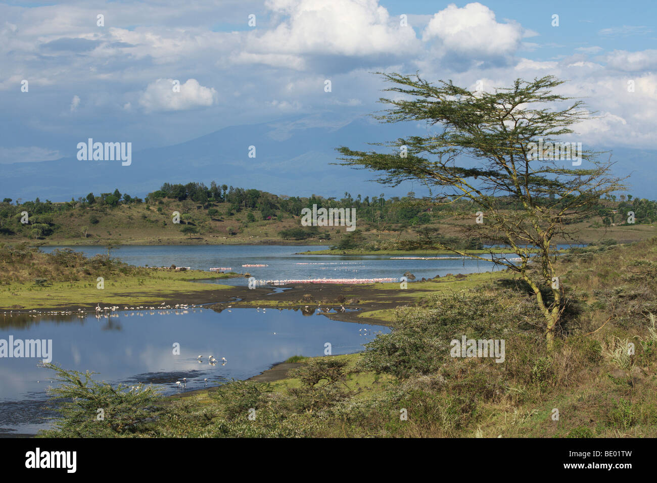 Momella Lakes in Arusha National Park, Tanzania, Africa Stock Photo - Alamy
