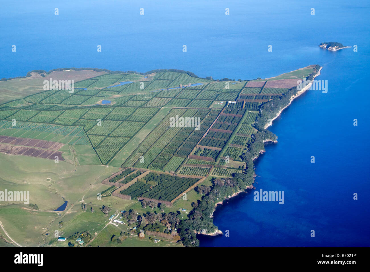Motiti Island and Taumaihi Island, Bay of Plenty, New Zealand Stock ...