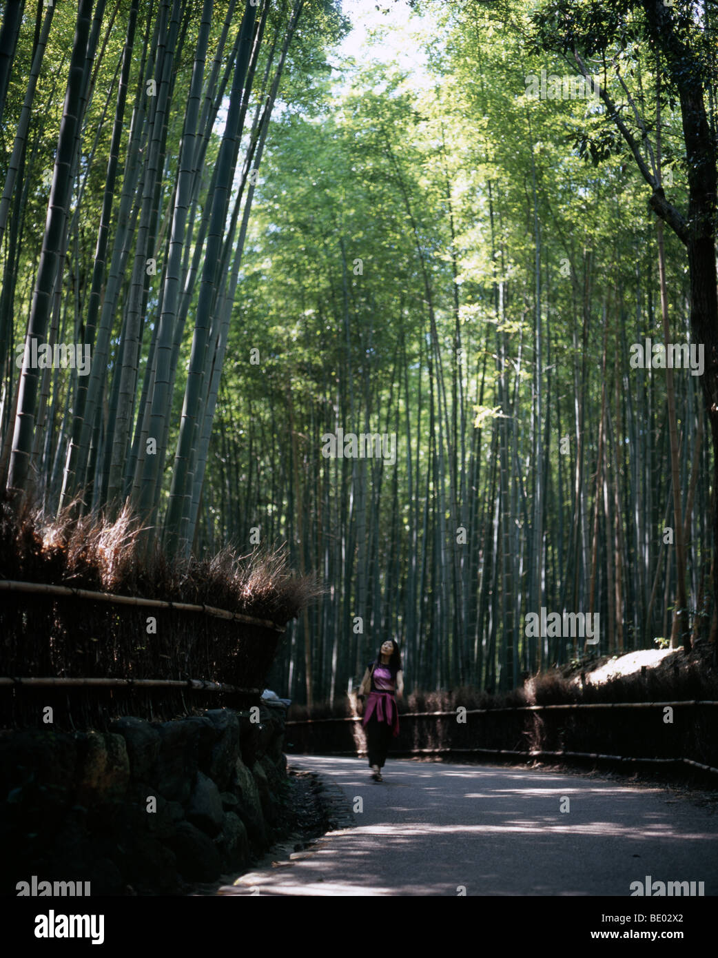 Arashiyama bamboo grove, Kyoto, Japan Stock Photo - Alamy