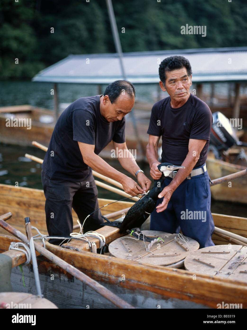 Ukai - fishing with cormorants Arashiyama, Kyoto, Japan Stock Photo - Alamy