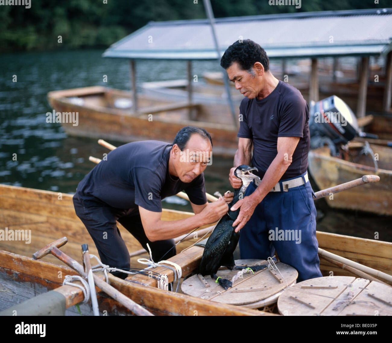 Ukai - fishing with cormorants Arashiyama, Kyoto, Japan Stock Photo - Alamy