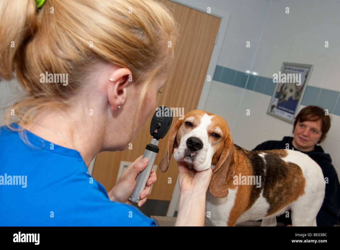 Pdsa High Resolution Stock Photography and Images - Alamy