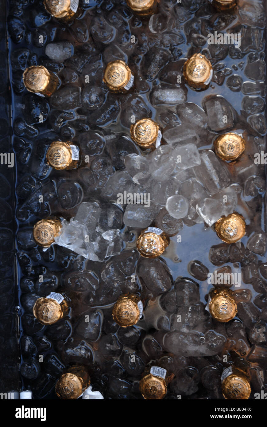 Fridge full of Booze Stock Photo - Alamy