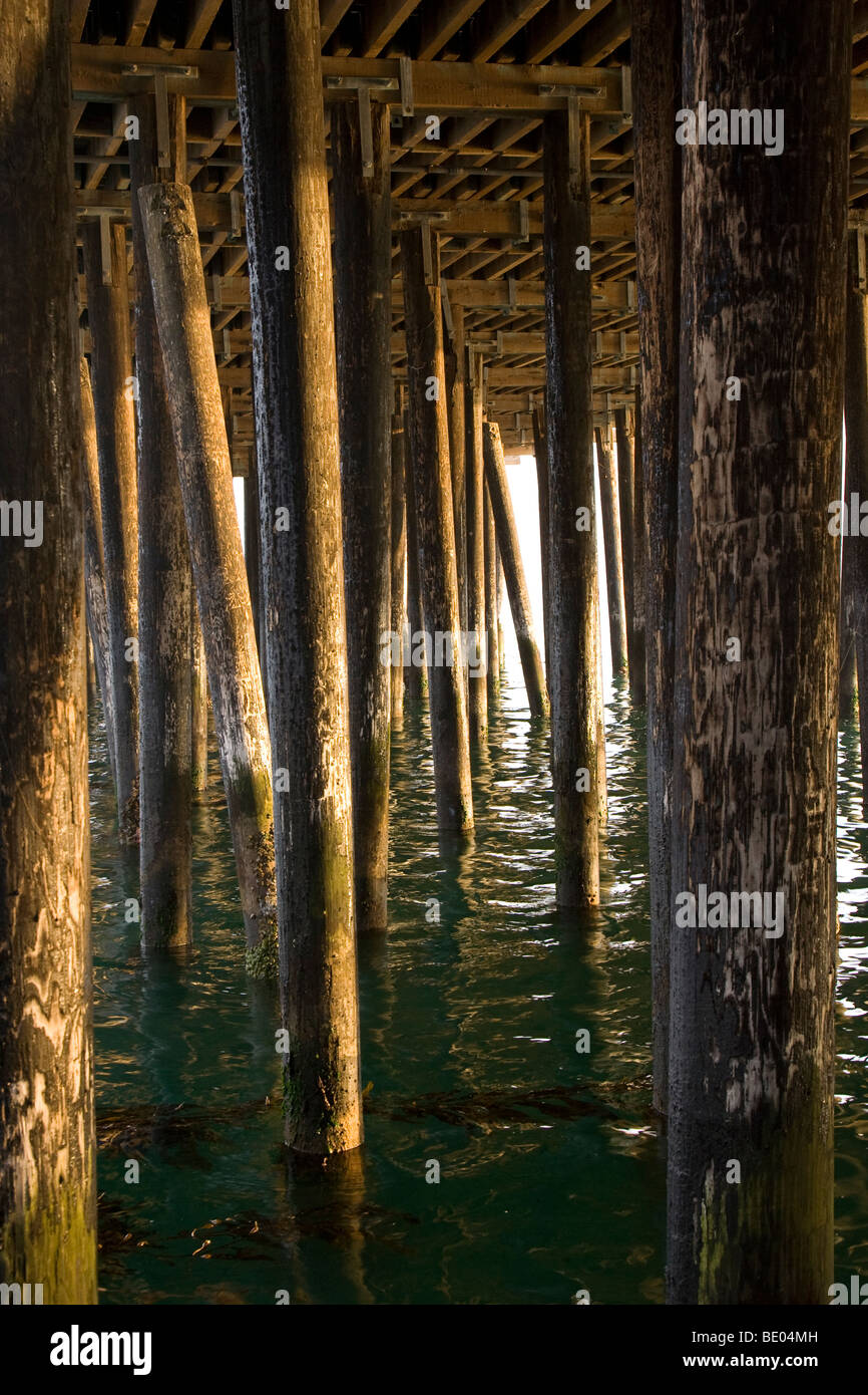 Piles Supporting Avila Beach Pier Stock Photo - Alamy