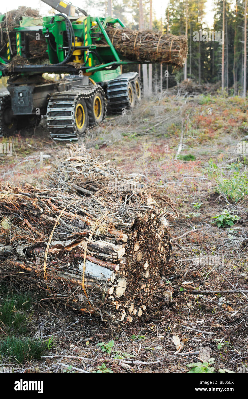 Slash bundle used for biomass fuel Stock Photo - Alamy