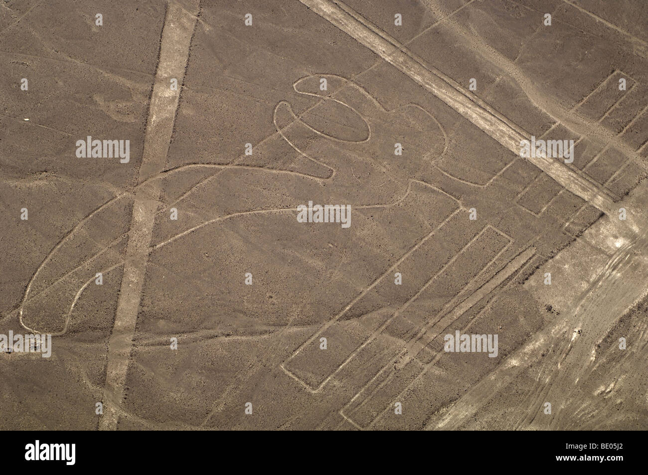 The Parrot Nazca Lines Peru High Resolution Stock Photography and ...