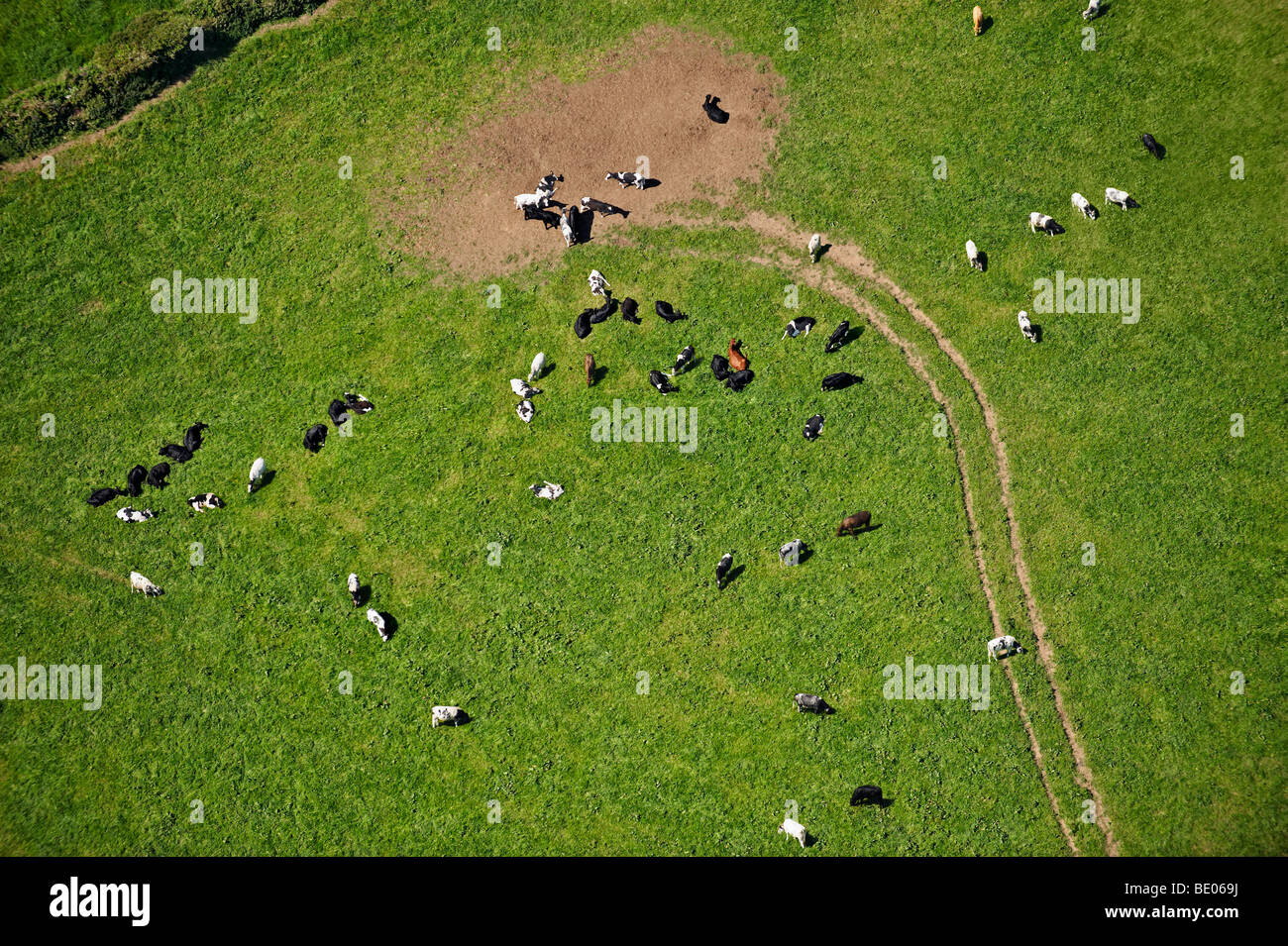English agriculture hi-res stock photography and images - Alamy